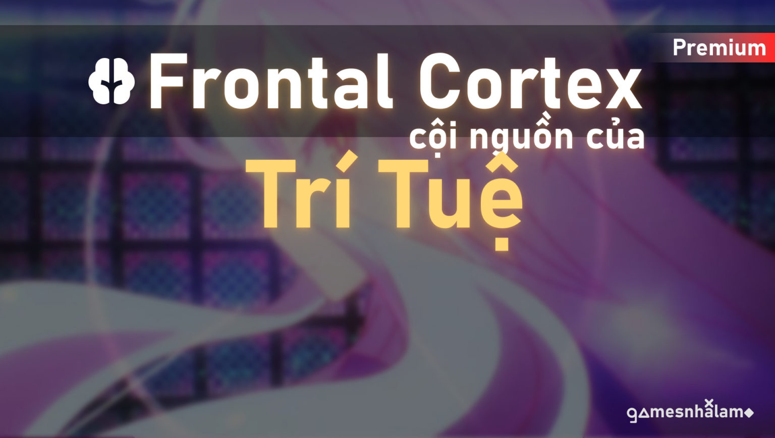 Frontal Cortex. Cội nguồn của Trí Tuệ. - Gamesnhalam